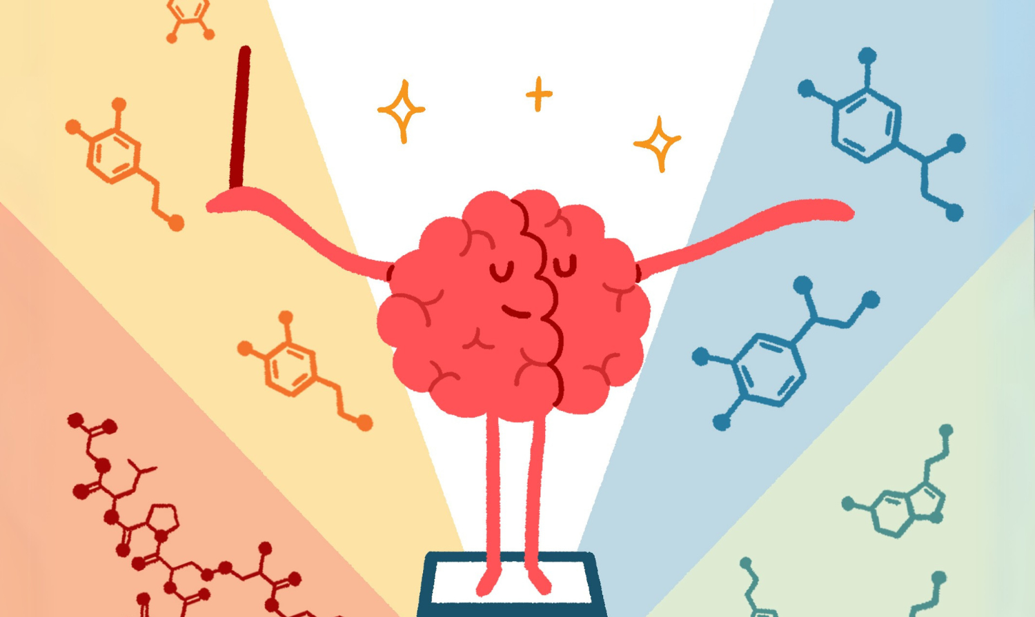 The neuroscience of visual storytelling